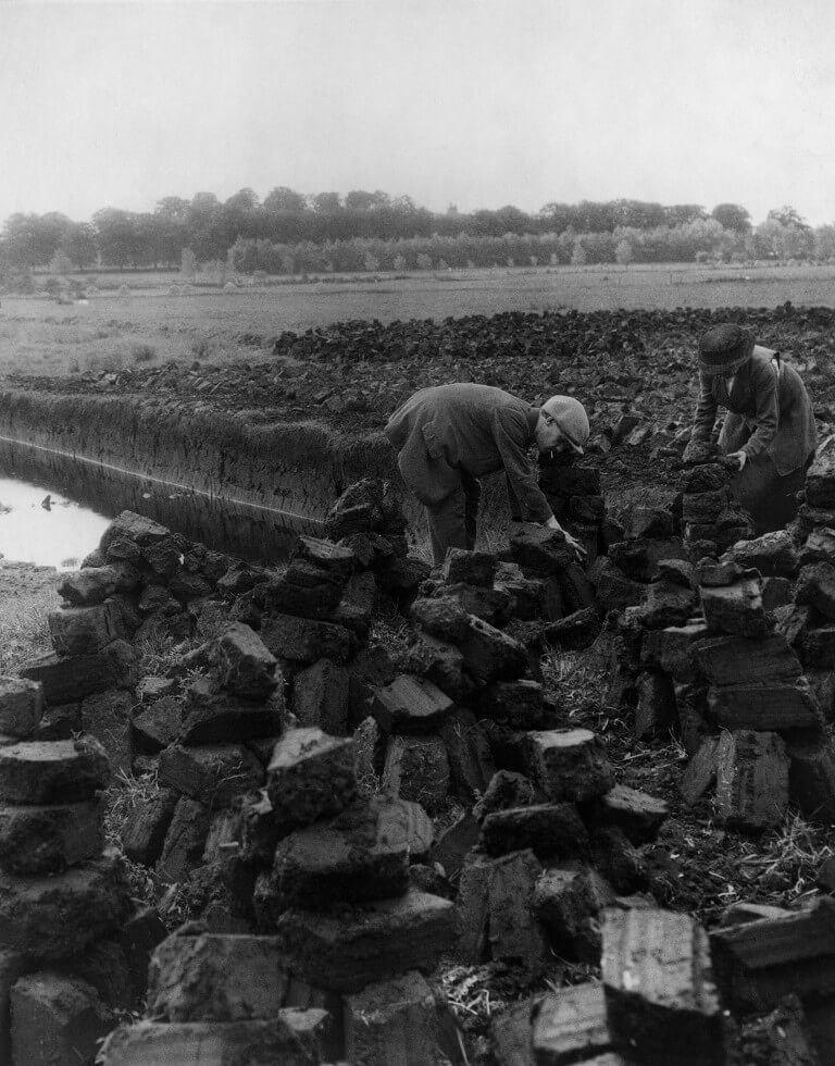 Digging by Seamus Heaney, A Digital Experience